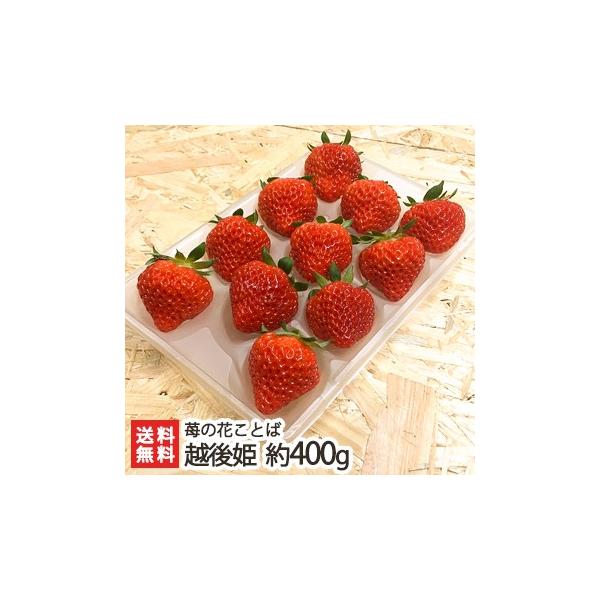 大粒であま〜い新潟県のブランド苺「越後姫」と酸味が少なくジューシーな新品種「桃薫」を摘みたて完熟で産地からお届けします。摘みたて新鮮な完熟いちごを農園から産地直送でお届け！新潟県のブランド苺「越後姫」と話題沸騰中の新品種「桃薫」をご用意しま...