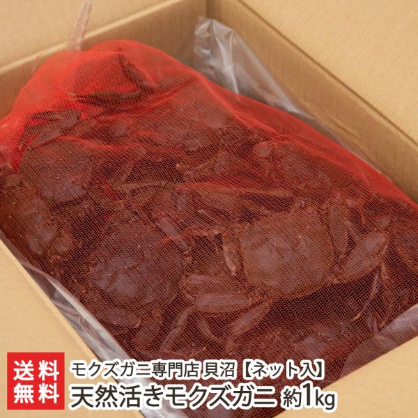 村上市の三面川や荒川で獲れたモクズガニを活きたまま発送！旨味をギュッと凝縮したカニミソがたまりません！塩茹でや蒸し焼きにするのがオススメです。貝沼さんのモクズガニは、村上市の三面川や荒川で獲れた蟹です。上質なものを選んで、活きたままでお届け...
