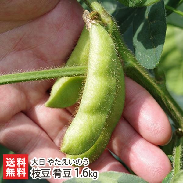 【発売日：2026年09月17日】自然に囲まれた柏崎市の矢田地区で、澄んだ水と有機肥料で作った枝豆は旨味ぎっしり。朝採り新鮮なままお届けします。時期によって味わいの変わる枝豆をぜひ食べ比べてみてください。豊かな自然に囲まれた新潟県柏崎市にあ...