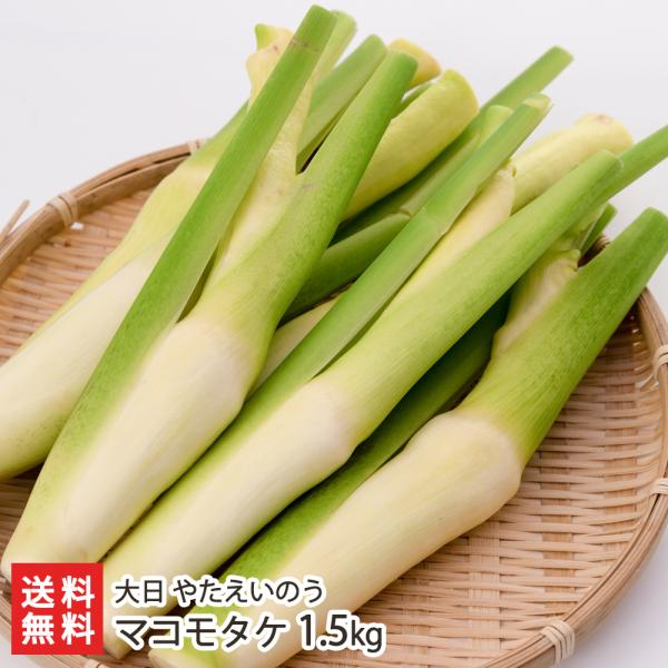【発売日：2026年09月27日】「予約商品の入荷予定時期」及び「発売予定日」は、発送開始時期の目安です。予定時期より受付順に発送となりますこと、予めご了承ください。マコモタケは、山間地を中心に栽培されているめずらしい野菜。歯ざわりの良い食...
