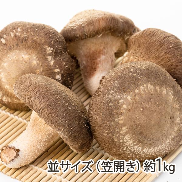 【発売日：2025年10月07日】旨味と風味をめいっぱい蓄えた、特大の生しいたけ！「安心・安全・美味しい」にこだわった完全無農薬の菌床栽培が生み出す驚きの分厚さと豊潤な香り。天日干しや冷凍にすると、旨味がさらにぐーんとアップ！全国でも生産者...