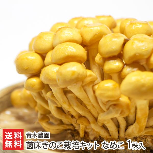 【発売日：2026年09月27日】「予約商品の入荷予定時期」及び「発売予定日」は、発送開始時期の目安です。予定時期より受付順に発送となりますこと、予めご了承ください。菌床栽培できのこを生産している加茂市の「青木農園」から、自宅で手軽に楽しめ...