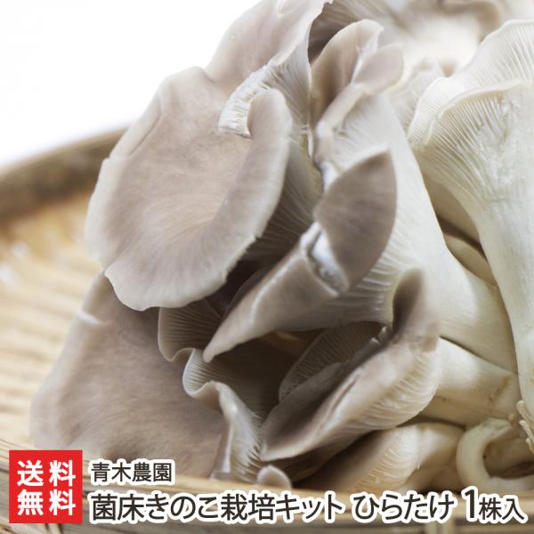【発売日：2026年09月27日】「予約商品の入荷予定時期」及び「発売予定日」は、発送開始時期の目安です。予定時期より受付順に発送となりますこと、予めご了承ください。菌床栽培できのこを生産している加茂市の「青木農園」から、自宅で手軽に楽しめ...