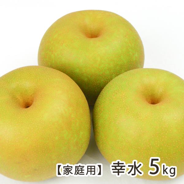 【発売日：2026年07月28日】「予約商品の入荷予定時期」及び「発売予定日」は、発送開始時期の目安です。予定時期より受付順に発送となりますこと、予めご了承ください。みずみずしくて、とってもジューシーな和梨。有機質肥料をたっぷり使用して丁寧...