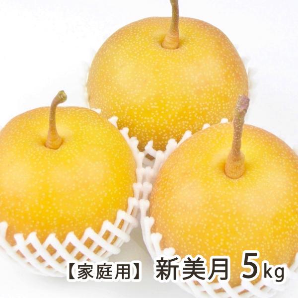 【発売日：2026年08月28日】「予約商品の入荷予定時期」及び「発売予定日」は、発送開始時期の目安です。予定時期より受付順に発送となりますこと、予めご了承ください。みずみずしくて、とってもジューシーな和梨。有機質肥料をたっぷり使用して丁寧...