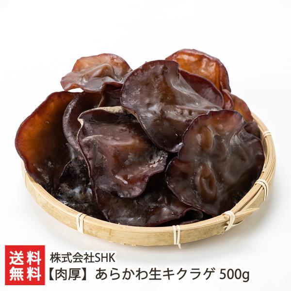 岩船郡関川村で育った、ジャンボキクラゲです。その大きさは、一度見たら忘れられません！とっても肉厚で、歯ごたえのあるコリコリ食感が特徴。ビタミンDと食物繊維がたっぷり、低カロリーでヘルシーです！キノコの栽培・販売を行うSHKから、「特選肉厚」...