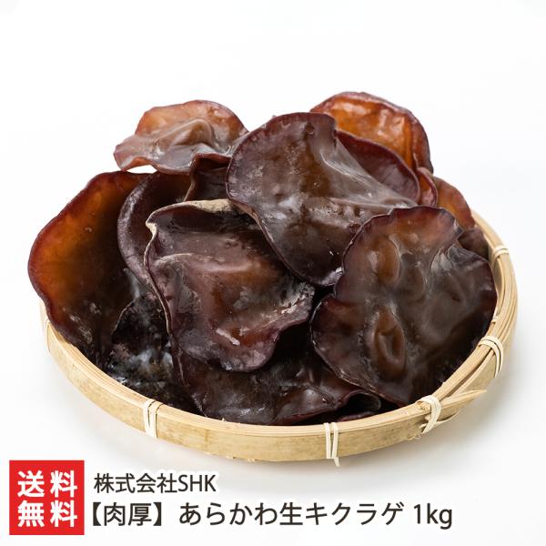 岩船郡関川村で育った、ジャンボキクラゲです。その大きさは、一度見たら忘れられません！とっても肉厚で、歯ごたえのあるコリコリ食感が特徴。ビタミンDと食物繊維がたっぷり、低カロリーでヘルシーです！キノコの栽培・販売を行うSHKから、「特選肉厚」...