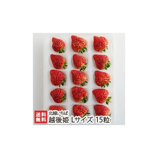 【発売日：2026年01月28日】越後姫は、甘みの強い大粒苺。新潟県の寒冷な気候でゆっくりと成長し、大振りな果実に糖分をたっぷり蓄えます。中でも、「北越いちば」の越後姫は「高糖度」！じっくり時間をかけて実った甘い苺だけを厳選出荷します。紅色...