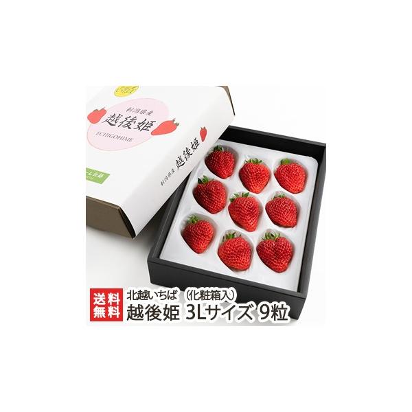【発売日：2026年01月28日】越後姫は、甘みの強い大粒苺。新潟県の寒冷な気候でゆっくりと成長し、大振りな果実に糖分をたっぷり蓄えます。中でも、「北越いちば」の越後姫は「高糖度」！じっくり時間をかけて実った甘い苺だけを厳選出荷します。紅色...