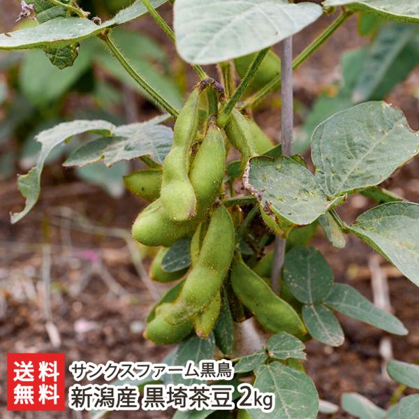 【発売日：2026年07月17日】新潟夏の味覚！土作りにこだわって丹精込めて育てた、枝豆です。その美味しさは一級品！口に入れたときの「旨さ」と「コク」、広がる「香り」がまったく違います。サンクスファーム黒鳥の手掛ける黒埼産の枝豆は、土作りか...
