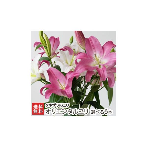 ユリの中でも特に人気な「オリエンタルユリ」。上品な香りを漂わせ、華やかな雰囲気を演出します。鮮度を保つために保水材で包み、発送時期に最適な品種を厳選して発送！いつでも大輪のユリが咲きますよ♪昭和23年より花栽培を行う「タキザワのユリ」が厳選...