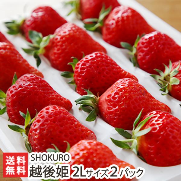 【発売日：2026年02月17日】濃厚な甘みとみずみずしさが自慢の「SHOKURO」の越後姫。手間暇のかかる「土耕栽培」でしか出せない越後姫の美味しさがあります。食べる人を笑顔にし、幸せを運ぶ越後姫をどうぞお召し上がり下さい。新潟市江南区大...