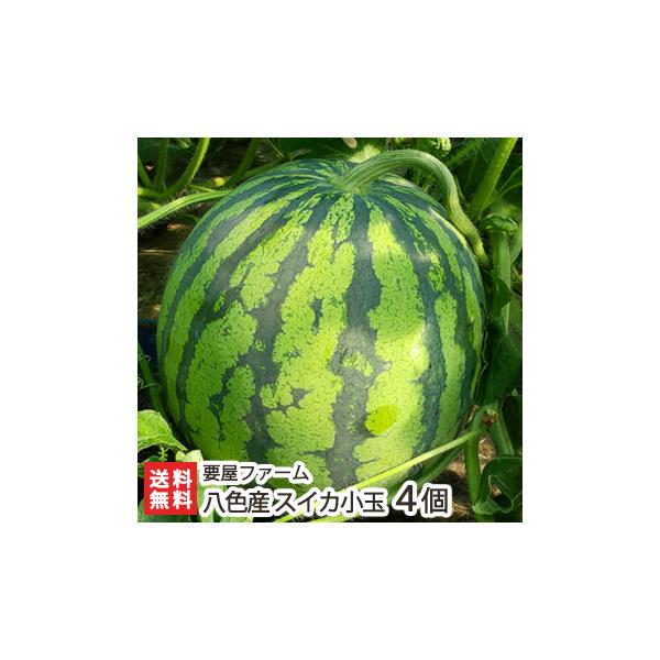 【発売日：2026年07月07日】「高い糖度」と「強いシャリ感」が特徴の八色産スイカを、一玉一玉丁寧に、さらにあま〜く育て上げました。農家のこだわりと南魚沼の豊かな自然が育んだ、特上のスイカです。お中元にもどうぞ！南魚沼市八色原地区で栽培さ...