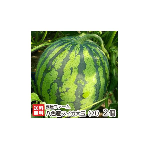 【発売日：2026年07月17日】「高い糖度」と「強いシャリ感」が特徴の八色産スイカを、一玉一玉丁寧に、さらにあま〜く育て上げました。農家のこだわりと南魚沼の豊かな自然が育んだ、特上のスイカです。お中元にもどうぞ！南魚沼市八色原地区で栽培さ...