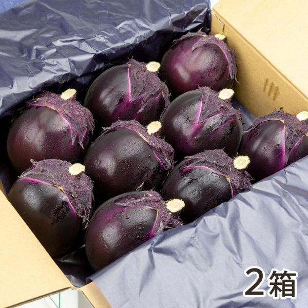 【発売日：2026年07月07日】糸魚川市の特産品「越の丸茄子」は、口に入れたときに感じる甘味と、大ぶりな実の食感から、「大トロ」とまで言われる絶品ナスです。色が濃くて光沢があるため、見るからに美味しそう！JAえちご上越 ひすい営農センター...