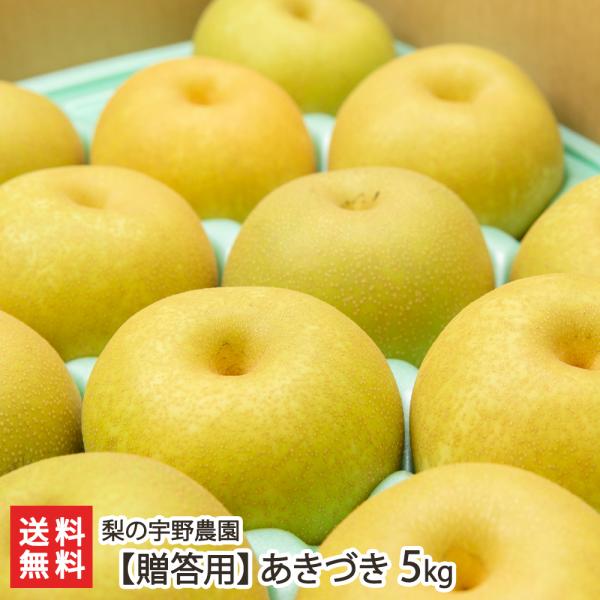 【発売日：2026年08月28日】県内有数の梨産地「新潟市江南区木津地区」にある梨専門農家から、和梨をご紹介。肥沃な大地にて、梨の健康的な生育に配慮した栽培方法で、甘く、ジューシーな梨に仕上げました。梨の栽培が盛んな、新潟市江南区木津地区に...