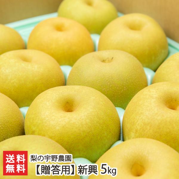 【発売日：2026年10月17日】県内有数の梨産地「新潟市江南区木津地区」にある梨専門農家から、和梨をご紹介。肥沃な大地にて、梨の健康的な生育に配慮した栽培方法で、甘く、ジューシーな梨に仕上げました。梨の栽培が盛んな、新潟市江南区木津地区に...