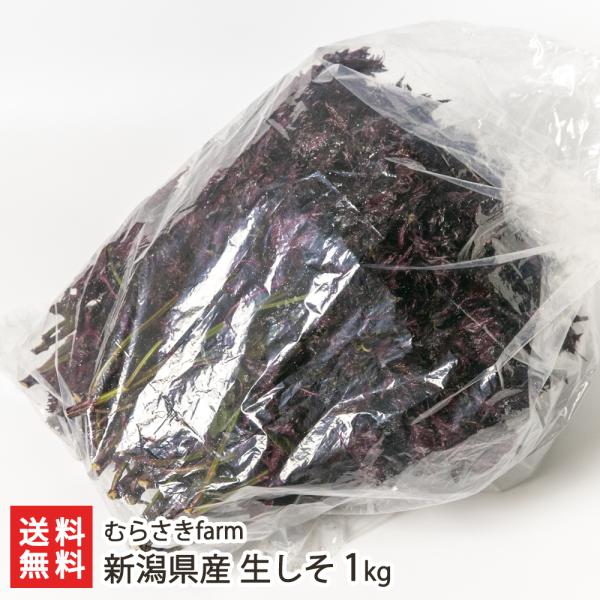 【発売日：2026年06月17日】鮮やかな赤紫色の「ちりめん赤しそ」。しそシロップ・梅干しの色付け・しそふりかけなど、自分で手間ひまかけて手作りしてみるのはいかがでしょう？しそならではの爽やかな風味で、夏バテ知らずの体に！新潟市西区小針の「...