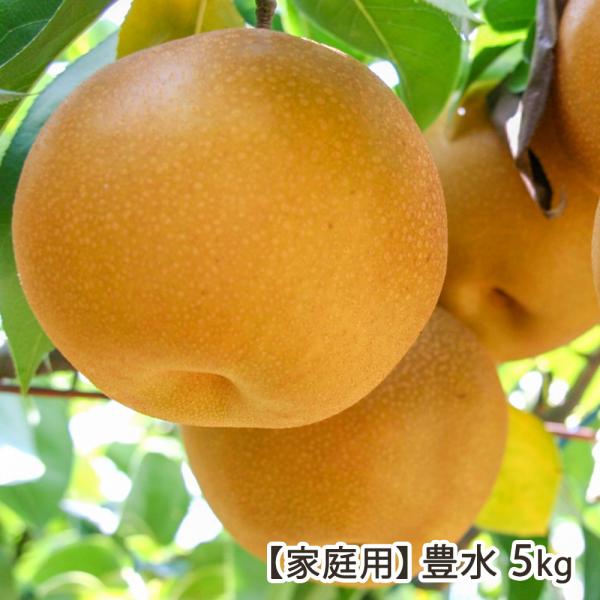 【発売日：2026年08月17日】果物王国・加茂市の果樹農家が手塩にかけた和梨です。雄大な信濃川の恵みを受ける肥沃な土壌で、濃厚な甘みを蓄えました。「シャリ」「シャキ」という心地良い食感と、みずみずしい果汁をご堪能ください。おおの果樹園は、...