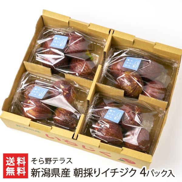 新潟市西蒲区の特産品として栽培されているイチジク。そら野テラスでは、完熟したイチジクを朝採りし、その日のうちに出荷しています。トロリと濃厚で、甘〜い！プチプチ食感もクセになる美味しさですよ。新潟市西蒲区の「そら野テラス」で、夏から秋にかけて...