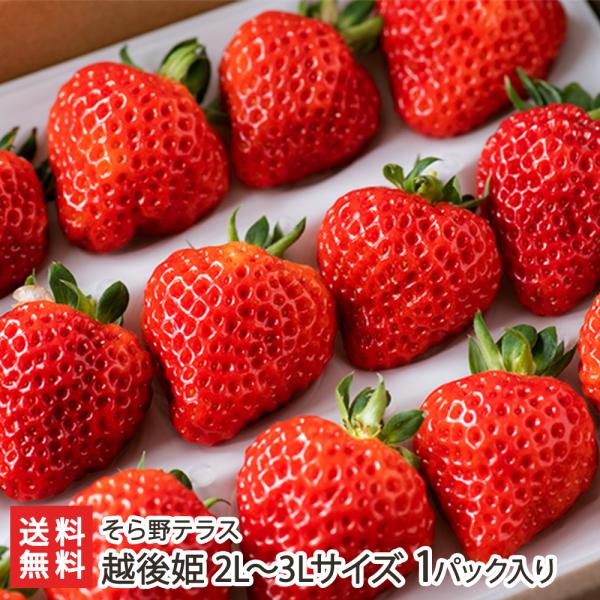 【発売日：2025年01月28日】新潟市西蒲区の人気直売所「そら野テラス」の朝採り越後姫です。完熟してから収穫するから、甘さと香りが「感動レベル」。あむっと一口かじれば、柔らかい果肉から、甘〜い果汁がじゅわ〜っと溢れますよ！「そら野テラス」...