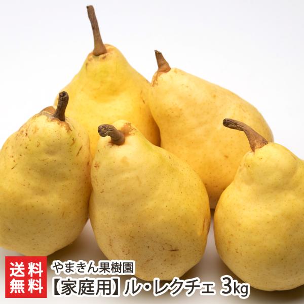 【発売日：2026年11月17日】加茂市のやまきん果樹園のル・レクチェは、丁寧な栽培管理で美味しさを最大限に引き出した自慢の品。滑らかな食感と、コクのある濃厚な甘み、芳醇な香りが自慢です。冬だけの旬の味覚をお楽しみください。とろけるような食...