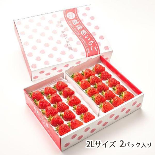 【発売日：2025年12月17日】燕市の斉藤いちご園から、大粒で濃厚な甘さの越後姫をご紹介。じゅわ〜っと溢れるジューシーな果汁をお楽しみください。燕市で苺農家を営む「斉藤いちご園」から、新潟県のブランド苺「越後姫」をご紹介。やわらかくジュー...