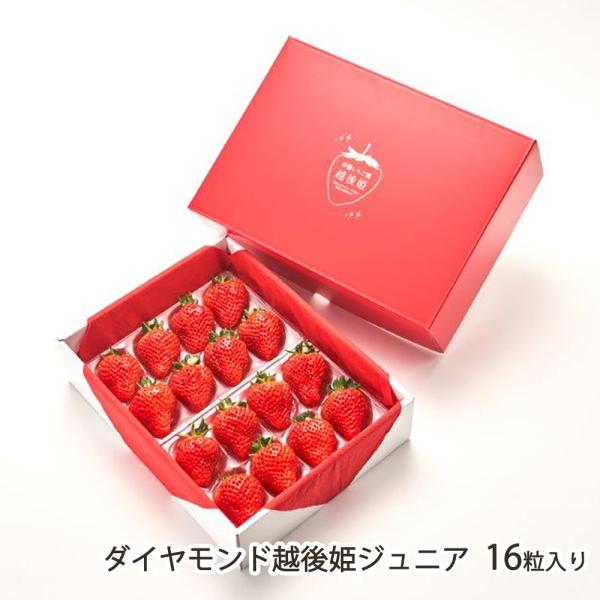 【発売日：2026年01月17日】燕市の斉藤いちご園から、大粒で濃厚な甘さの越後姫をご紹介。中でも特大サイズの「ダイヤモンド越後姫」は、野球ボールほどの大きさです！じゅわ〜っと溢れるジューシーな果汁をお楽しみください。燕市で苺農家を営む「斉...