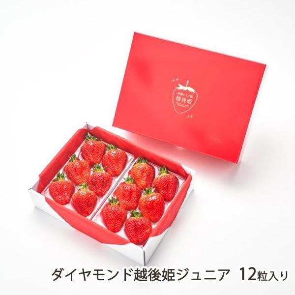 【発売日：2026年01月17日】燕市の斉藤いちご園から、大粒で濃厚な甘さの越後姫をご紹介。中でも特大サイズの「ダイヤモンド越後姫」は、野球ボールほどの大きさです！じゅわ〜っと溢れるジューシーな果汁をお楽しみください。燕市で苺農家を営む「斉...