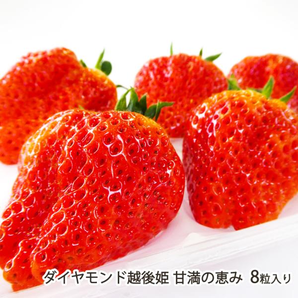 【発売日：2026年01月17日】燕市の斉藤いちご園から、大粒で濃厚な甘さの越後姫をご紹介。中でも特大サイズの「ダイヤモンド越後姫」は、野球ボールほどの大きさです！じゅわ〜っと溢れるジューシーな果汁をお楽しみください。燕市で苺農家を営む「斉...