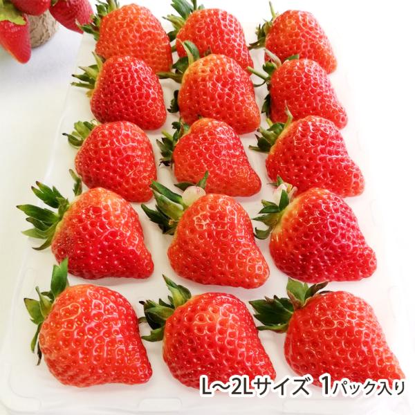 【発売日：2025年12月17日】燕市の斉藤いちご園から、大粒で濃厚な甘さの越後姫をご紹介。じゅわ〜っと溢れるジューシーな果汁をお楽しみください。燕市で苺農家を営む「斉藤いちご園」から、新潟県のブランド苺「越後姫」をご紹介。やわらかくジュー...