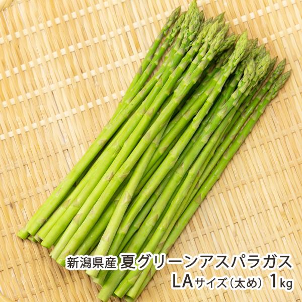 【発売日：2026年07月07日】三条市・飯塚農園のグリーンアスパラガスは、大ぶりながらもスジっぽさがなく、とってもやわらか。採れたて新鮮な状態でお届けするため、カットした断面から水分が滴るほど、みずみずしくジューシーです！三条市で農家を営...