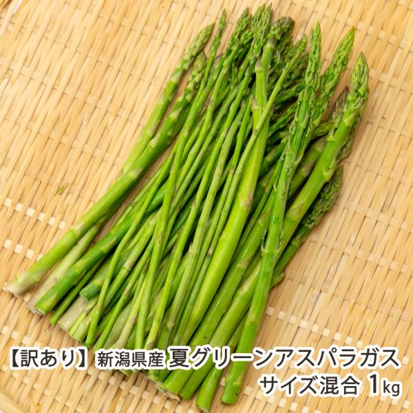 【発売日：2026年07月07日】三条市・飯塚農園のグリーンアスパラガスは、大ぶりながらもスジっぽさがなく、とってもやわらか。採れたて新鮮な状態でお届けするため、カットした断面から水分が滴るほど、みずみずしくジューシーです！三条市で農家を営...