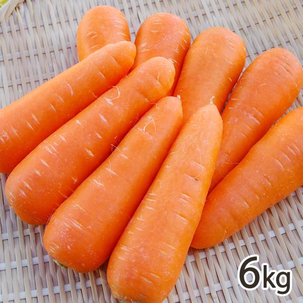 【発売日：2025年11月27日】日本海沿いに広がる砂丘地で栽培された、肌つやが美しいにんじん。「やまもと農園のものはとっても甘い！」と評判です。みずみずしくにんじん臭さがないため、サラダやにんじんスティックにもおすすめ！「砂丘の愛 やまも...