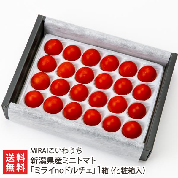 【発売日：2026年06月27日】ツヤツヤと輝く美しさで、フルーツのようなフレッシュな甘さを楽しめる「ミライnoドルチェ」。食後のデザートや三時のおやつに食べたい、ちょっと特別なミニトマトです。化粧箱とパックをご用意しています。村上市小岩内...