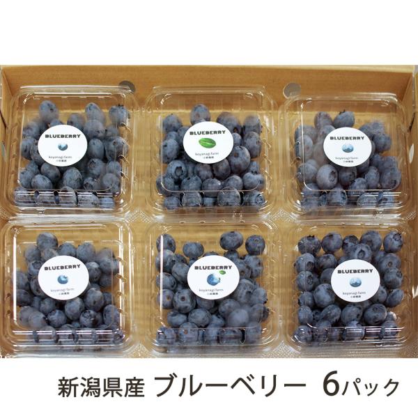 【発売日：2026年06月17日】果樹栽培が盛んな新潟市南区の農家「小柳農園」から、朝摘みのフレッシュなブルーベリーをご紹介します。樹上で完熟するまでじっくりと育て、一粒一粒丁寧に収穫したこだわりのブルーベリーですよ〜！新潟市南区で果樹農家...