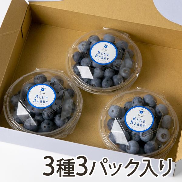 【発売日：2025年06月17日】新潟市西蒲区の亭蔵ブルーベリーから、完熟ブルーベリーをご紹介。口に入れると大きな粒がプチっとはじけて、甘くてジューシーな果汁が溢れ出します。アイスやヨーグルトのトッピングにもおすすめ。新潟市西蒲区岩室地区の...