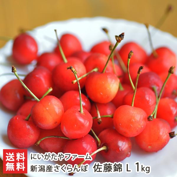 【発売日：2026年05月28日】一粒一粒が濃厚で、とってもジューシー！名産地・聖籠町で育まれた「さくらんぼ」です。大粒で、食べごたえのある肉厚食感。一口かじるとプチッと弾け、甘酸っぱい果汁がジュワッとあふれ出ます。にいがたやファームが、水...