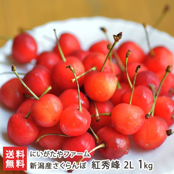 【発売日：2026年06月07日】一粒一粒が濃厚で、とってもジューシー！名産地・聖籠町で育まれた「さくらんぼ」です。大粒で、食べごたえのある肉厚食感。一口かじるとプチッと弾け、甘酸っぱい果汁がジュワッとあふれ出ます。にいがたやファームが、水...