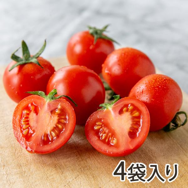 【発売日：2026年05月28日】え、フルーツ？と思ってしまうほど甘みが強い！食べごたえ満点の中玉トマトです。薄皮で果肉がやわらかく、みずみずしくてジューシー。サラダはもちろん、子どものおやつにもピッタリですよ。30種類以上の野菜を育てるし...