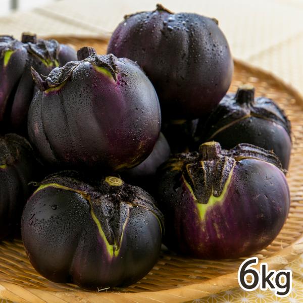 【発売日：2026年07月07日】巾着のような形がなんとも可愛らしい！生産量が少なく、希少価値の高い品種です。果肉がしっかりしていて、煮崩れしないのが特徴。巾着茄子の蒸し料理は長岡の郷土食として親しまれています。長岡巾着茄子は長岡の伝統野菜...