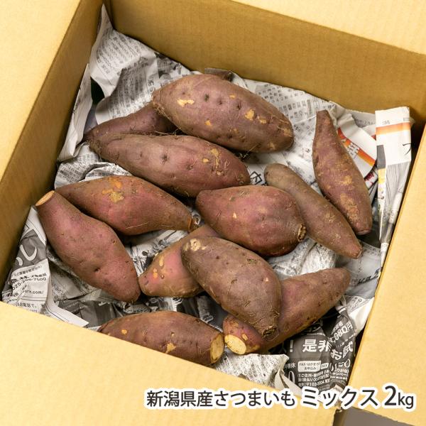 【発売日：2025年11月17日】ミネラル豊富な土壌が広がる、柏崎市荒浜地区の砂丘地で育てたさつまいも。収穫後、低温熟成させることで甘みを引き出しました。紅はるかやハロウィンスウィートなど、異なる味わいの4品種から選べます！「地元の耕作放棄...