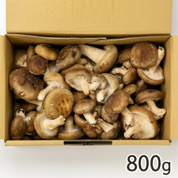 上越市の秋山ファームが、菌床栽培している生しいたけ。温度・湿度管理を徹底し、クリアな雪解け水をたっぷりと与えて育てています。肉厚で立派な生しいたけは、ジューシーで旨味たっぷりです！旨味たっぷりでジューシーな味わいの生しいたけ。菌床を利用して...