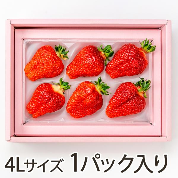 【発売日：2026年01月17日】新潟が誇る、可憐でみずみずしい、ジューシーな越後姫。やわらかな果肉から濃厚な果汁があふれ出ます。口いっぱいに広がる芳醇な風味は絶品！大粒を厳選して、上品な化粧箱に入れてお届けします。新潟のブランドいちご「越...