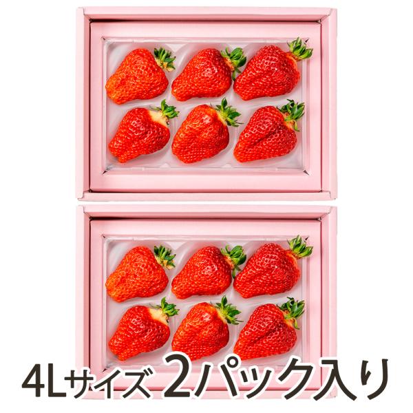 【発売日：2026年01月17日】新潟が誇る、可憐でみずみずしい、ジューシーな越後姫。やわらかな果肉から濃厚な果汁があふれ出ます。口いっぱいに広がる芳醇な風味は絶品！大粒を厳選して、上品な化粧箱に入れてお届けします。新潟のブランドいちご「越...