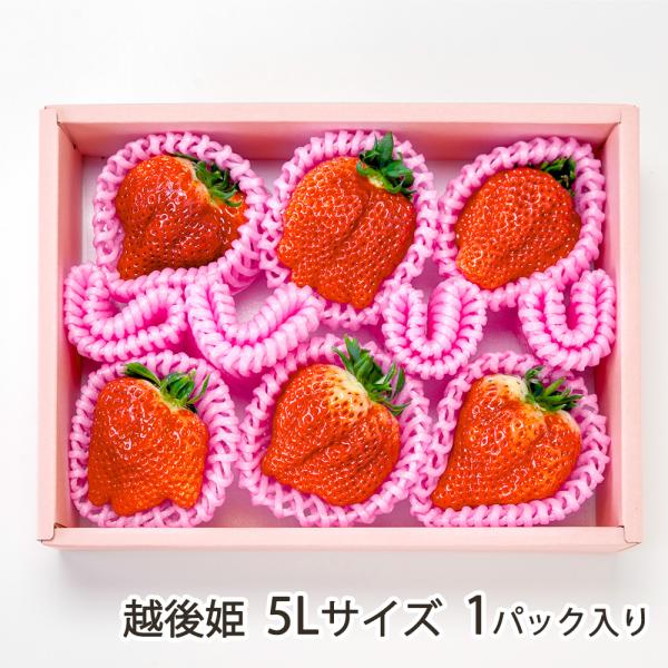 【発売日：2026年01月17日】新潟が誇る、可憐でみずみずしい、ジューシーな越後姫。やわらかな果肉から濃厚な果汁があふれ出ます。口いっぱいに広がる芳醇な風味は絶品！大粒を厳選して、上品な化粧箱に入れてお届けします。新潟のブランドいちご「越...