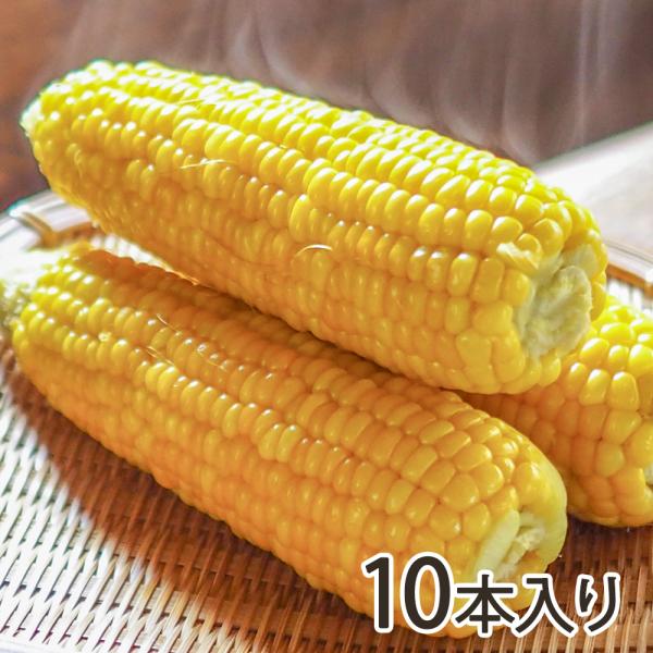 【発売日：2026年06月17日】新潟市西区の野菜農家がこだわり抜いて育てたトウモロコシです。やみつきになるシャキシャキ食感で、噛むたびに濃厚な甘みがジュワッとあふれます。こんがり香ばしいバター醤油焼きにしてどうぞ！新潟市西区は、日本海沿い...