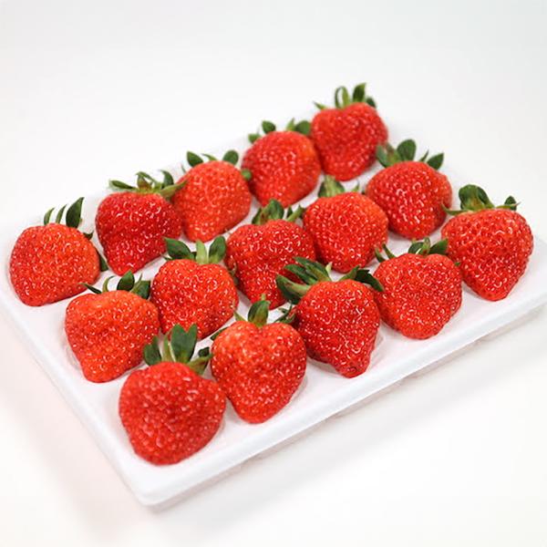 【発売日：2026年01月28日】聖籠町の観光果樹園が栽培した、新潟のブランド苺「越後姫」。果肉がとってもやわらかく、なかなか県外に出回らない品種です。箱を開けた瞬間に漂う芳醇な香りと、濃厚な味わいにうっとりします。巨峰やシャインマスカット...