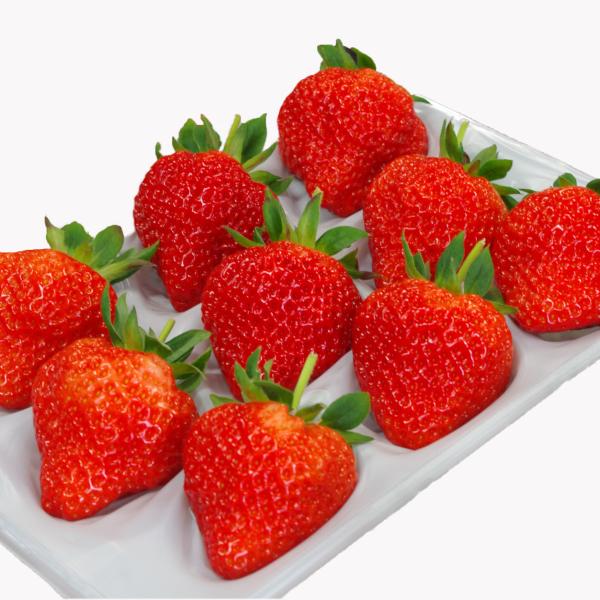 【発売日：2026年02月07日】聖籠町の観光果樹園が栽培した、新潟のブランド苺「越後姫」。果肉がとってもやわらかく、なかなか県外に出回らない品種です。箱を開けた瞬間に漂う芳醇な香りと、濃厚な味わいにうっとりします。巨峰やシャインマスカット...