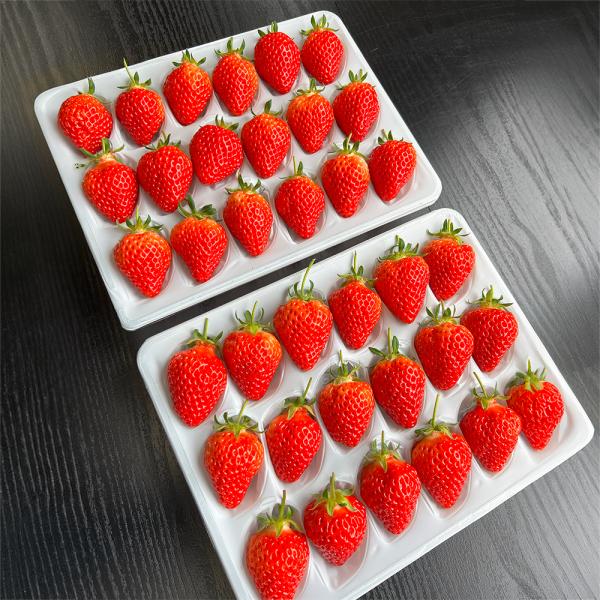 【発売日：2026年02月17日】聖籠町の観光果樹園が栽培した、新潟のブランド苺「越後姫」。果肉がとってもやわらかく、なかなか県外に出回らない品種です。箱を開けた瞬間に漂う芳醇な香りと、濃厚な味わいにうっとりします。巨峰やシャインマスカット...